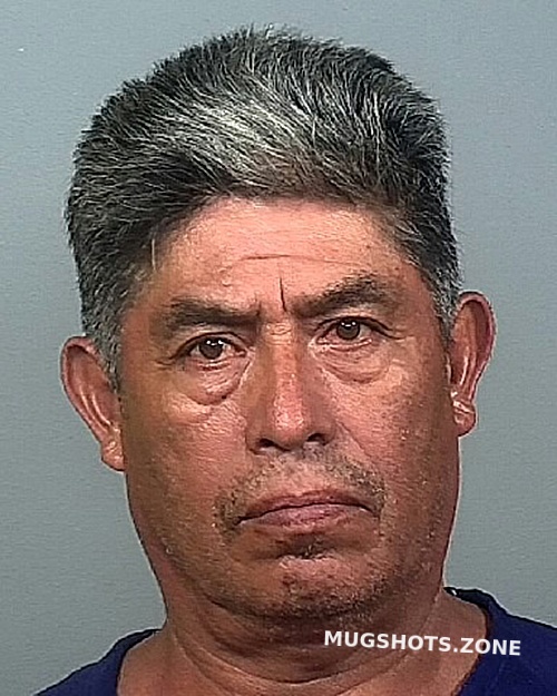 GONZALEZ LOPEZ GIL 03/30/2024 - Manatee County Mugshots Zone