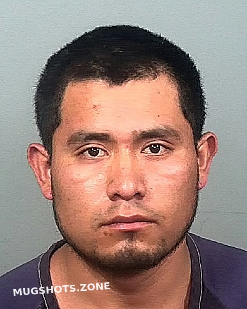 NIX RAMIRO L 04/01/2024 - Manatee County Mugshots Zone