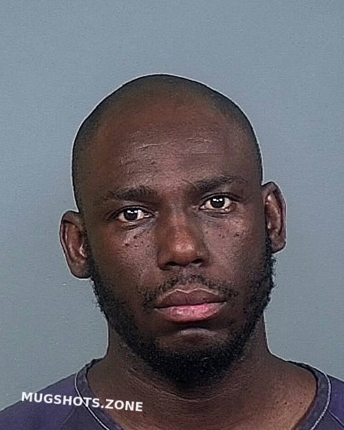 LOUIS JONAS 04/01/2024 - Manatee County Mugshots Zone