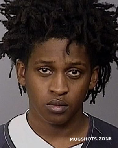 RAINEY REGINALD R 04/02/2024 - Manatee County Mugshots Zone