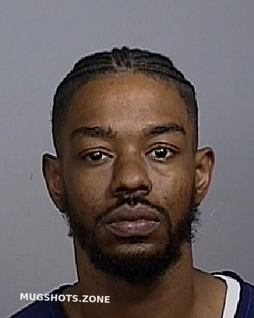 RICHARDSON DERRELL A 04/04/2024 - Manatee County Mugshots Zone