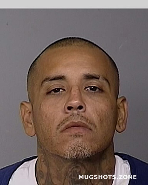 ROBLEDO DANIEL 04/05/2024 - Manatee County Mugshots Zone