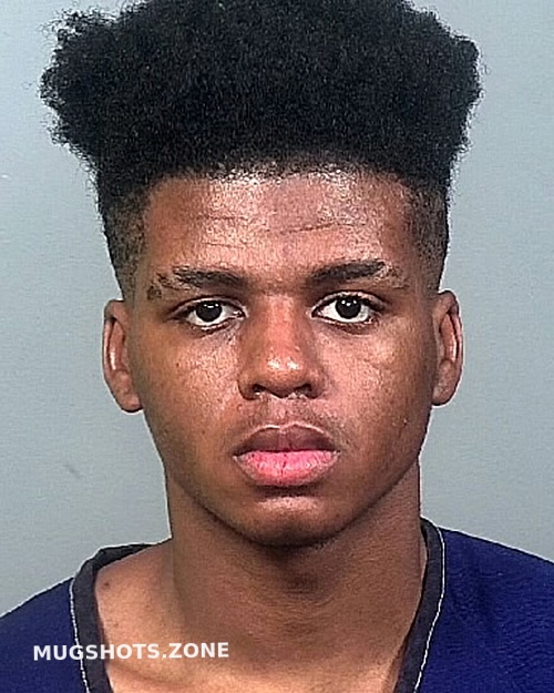 JENKINS KENNETH C 04/05/2024 - Manatee County Mugshots Zone
