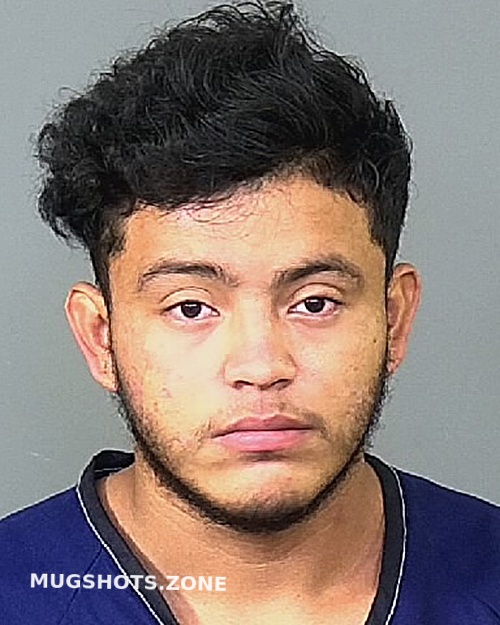 CALDERON-MENDEZ ERICK J 04/06/2024 - Manatee County Mugshots Zone