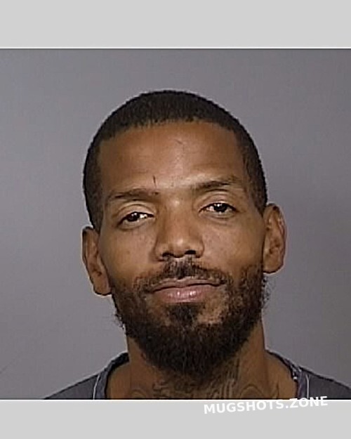 STOKES RICOROBERTO S 04/09/2024 - Manatee County Mugshots Zone