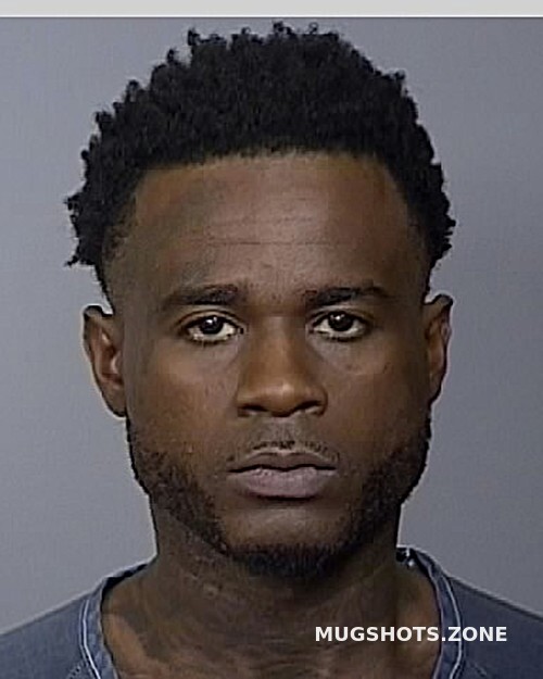 PHILIPPE ROOD F 04/15/2024 - Manatee County Mugshots Zone