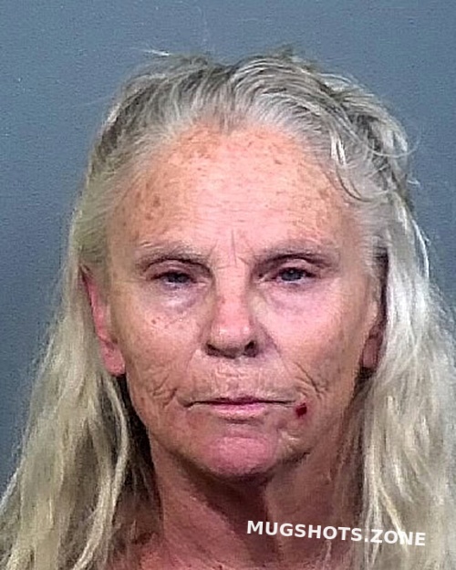 SCOTT STACY E 04/17/2024 - Manatee County Mugshots Zone