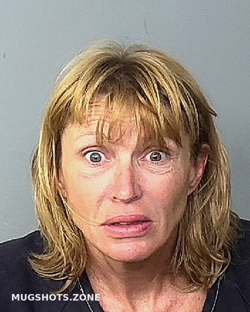 IRELAND REGINA K 04/18/2024 - Manatee County Mugshots Zone