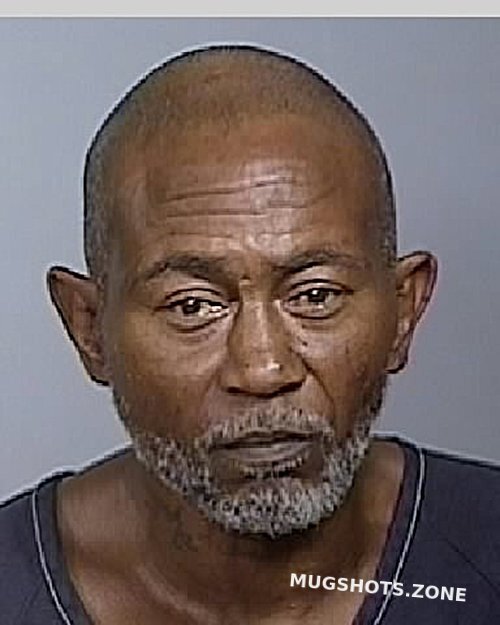 DAVIS RICHARD L 04/20/2024 - Manatee County Mugshots Zone