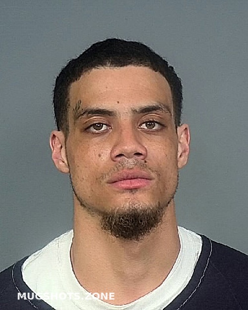 MORELAND CAMERON C 04/22/2024 - Manatee County Mugshots Zone