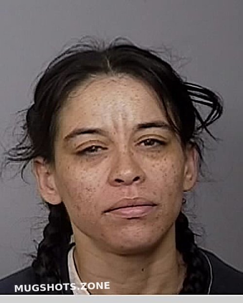 LAY-RODRIGUEZ LIZ A 04/22/2024 - Manatee County Mugshots Zone