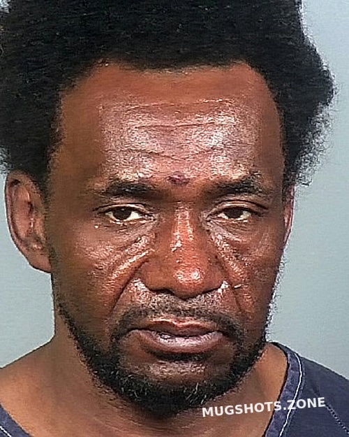 HOOKS RASHAAD J 04/24/2024 - Manatee County Mugshots Zone