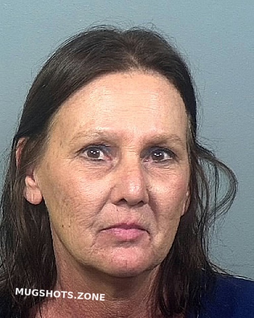 STEPHENS MARY L 05/01/2024 - Manatee County Mugshots Zone