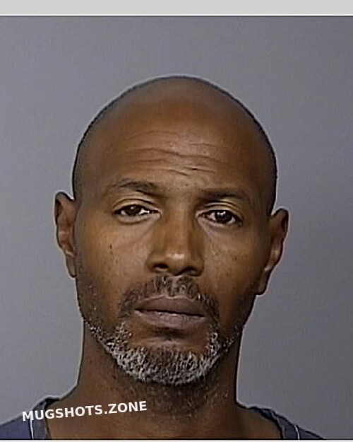 STEELE VINCENT A 05/05/2024 - Manatee County Mugshots Zone