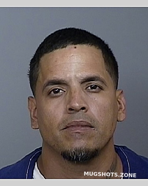 ROMAN DAVID A 05/12/2024 - Manatee County Mugshots Zone