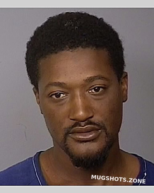 JAMES RICARDO M 05/16/2024 - Manatee County Mugshots Zone