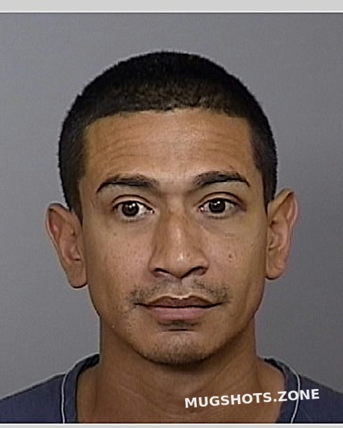 DMUCHOWSKI CHRIS M 05/28/2024 - Manatee County Mugshots Zone