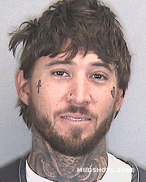 MARLAND STEPHEN C 06/01/2024 - Manatee County Mugshots Zone