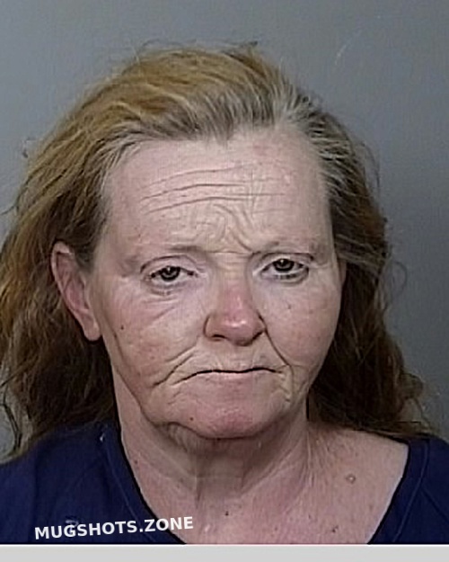 GONZALEZ COLLEEN W 06/01/2024 - Manatee County Mugshots Zone