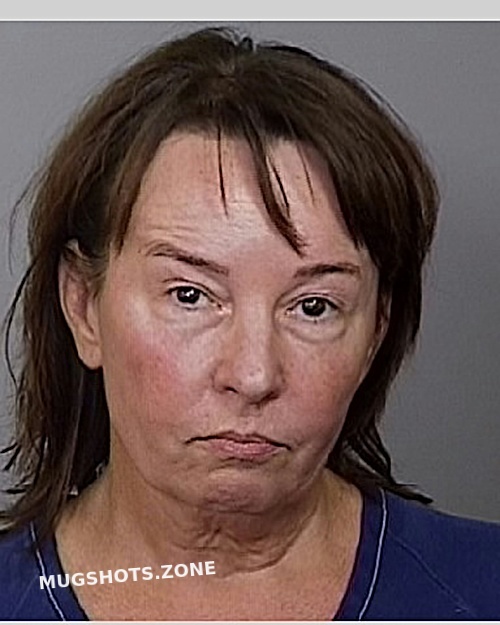 FELIX TINA M 06/02/2024 - Manatee County Mugshots Zone