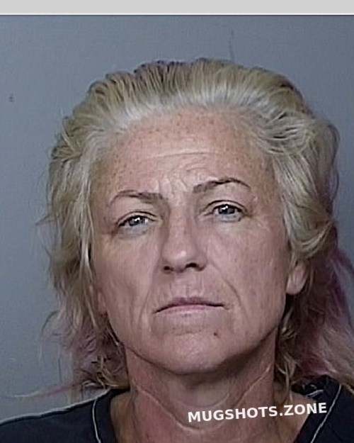 RUIZ TONYA L 06/04/2024 - Manatee County Mugshots Zone