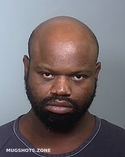 ANDERSON MICHALE A 06/06/2024 - Manatee County Mugshots Zone