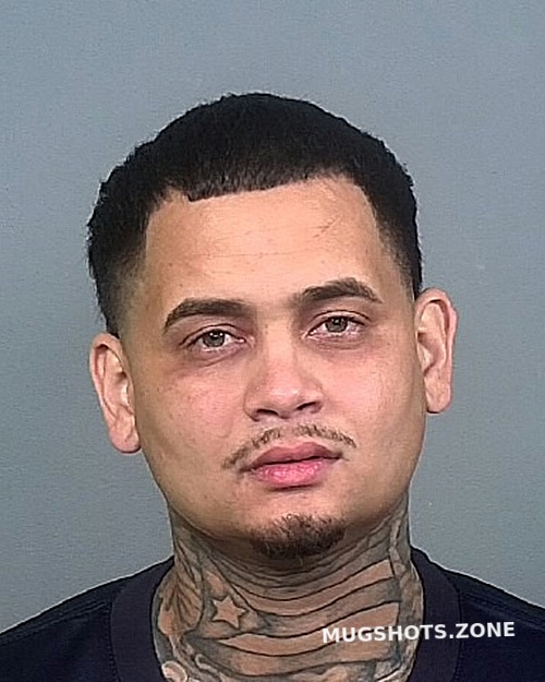 NEGRON JASON A 06/09/2024 - Manatee County Mugshots Zone