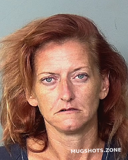 NORRIS BRANDY L 06/12/2024 - Manatee County Mugshots Zone