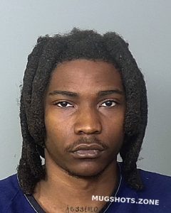 WILLIAMS MICHAEL N 06/15/2024 - Manatee County Mugshots Zone