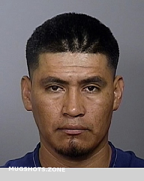 SANTIAGO CASTRO DAVID 06/16/2024 - Manatee County Mugshots Zone