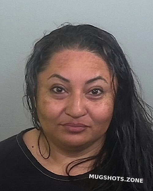 ROSALES AMAYA NIDIA J 06/17/2024 - Manatee County Mugshots Zone