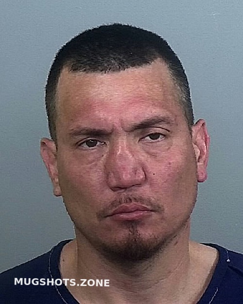 MARZHEUSER JACOB R 06/17/2024 - Manatee County Mugshots Zone