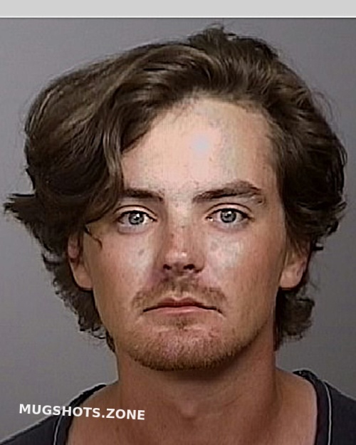 LONG MCLEAN 06/20/2024 - Manatee County Mugshots Zone