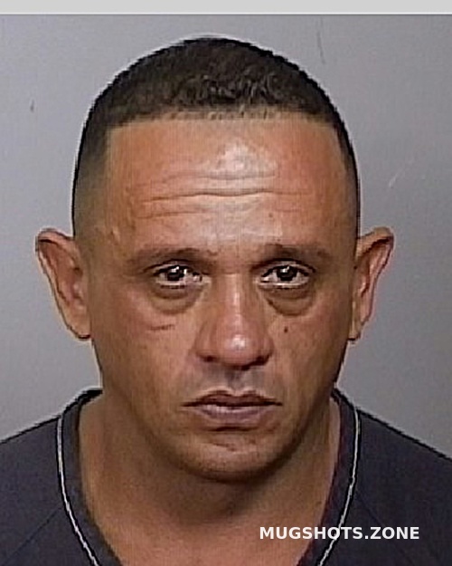 FERRERA REYES ARMIN I 06/29/2024 - Manatee County Mugshots Zone