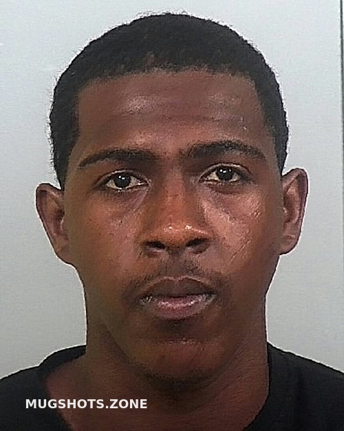 POWELL DAVID 06/29/2024 - Manatee County Mugshots Zone