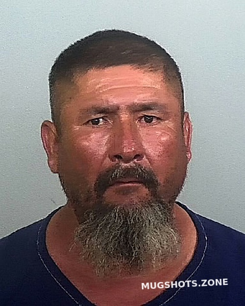 REYES-SERRANO ALFONSO 07/01/2024 - Manatee County Mugshots Zone