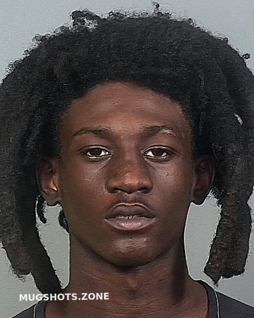 HENDERSON CHRISTOPHER J 07/01/2024 - Manatee County Mugshots Zone