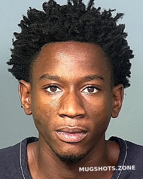 RIDDLE RICKIE E 07/01/2024 - Manatee County Mugshots Zone