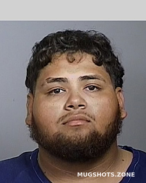 RENTERIA GABRIEL 07/04/2024 - Manatee County Mugshots Zone