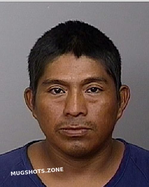 TOJIN TIQUIRAM JUAN 07/04/2024 - Manatee County Mugshots Zone