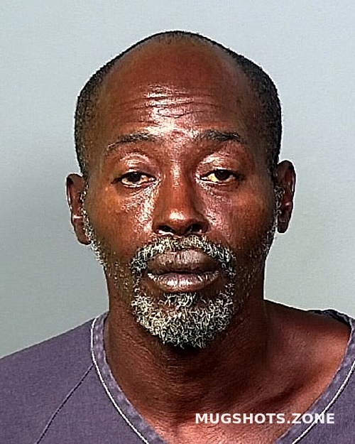 ROBINSON RON 07/06/2024 - Manatee County Mugshots Zone