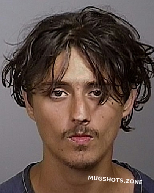 CATTERSON ADAM M 07/09/2024 - Manatee County Mugshots Zone