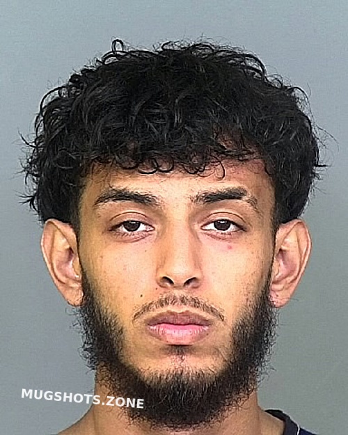 RIVAS ALLAN A 07/09/2024 - Manatee County Mugshots Zone