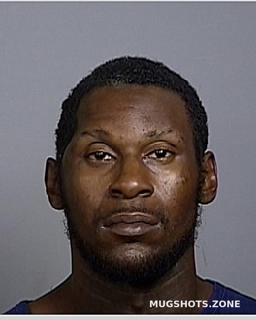 FREEMAN PAUL R 11/16/2024 - Manatee County Mugshots Zone