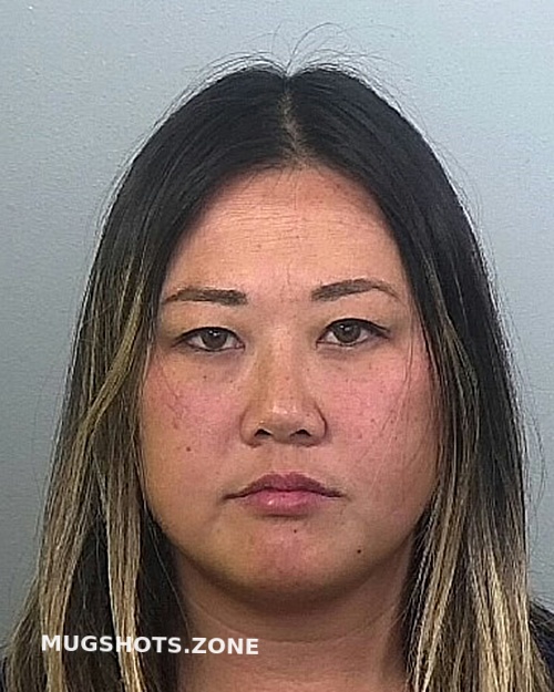 PARKS SUSAN 11/23/2024 - Manatee County Mugshots Zone