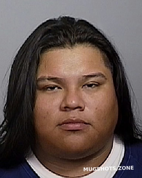 REYES ARNULFO 12/27/2024 - Manatee County Mugshots Zone