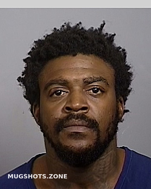 JOHNSON JAKOURTNEY V 12/29/2024 - Manatee County Mugshots Zone