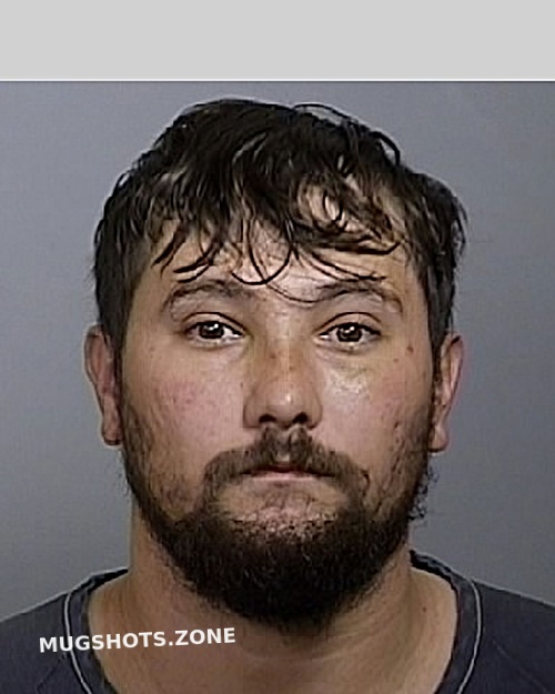 DRIGGERS ANDREW B 01/03/2025 - Manatee County Mugshots Zone