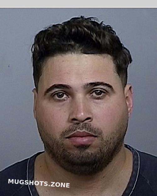 DOMINGUEZ REYES SANDY 01/04/2025 - Manatee County Mugshots Zone