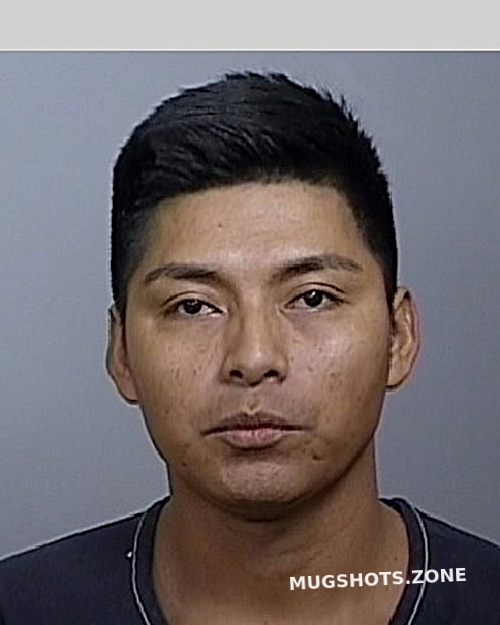 LUIS DAVID 01/05/2025 - Manatee County Mugshots Zone